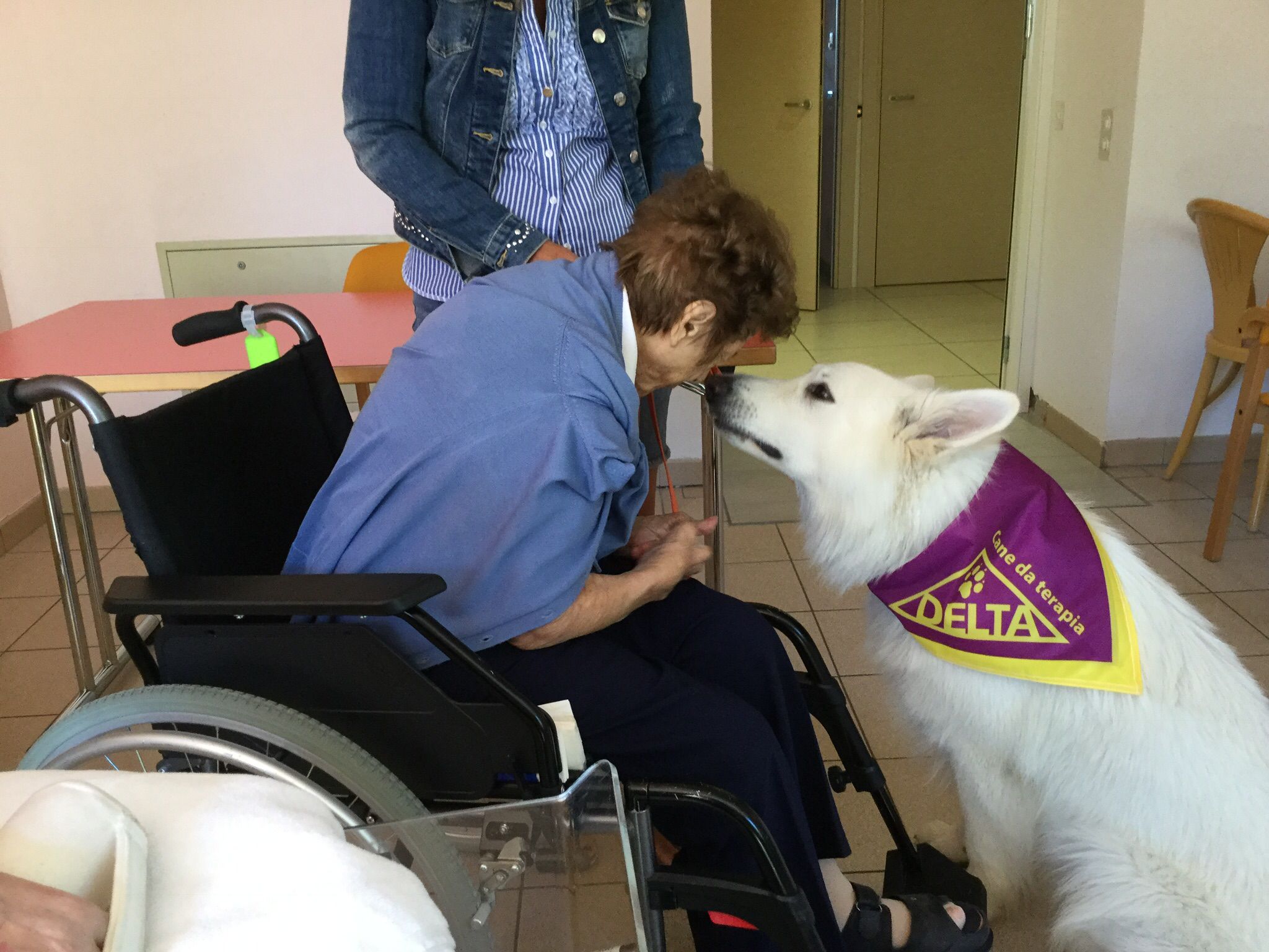 Cani da terapia Ticino e Moesano - Zootherapy